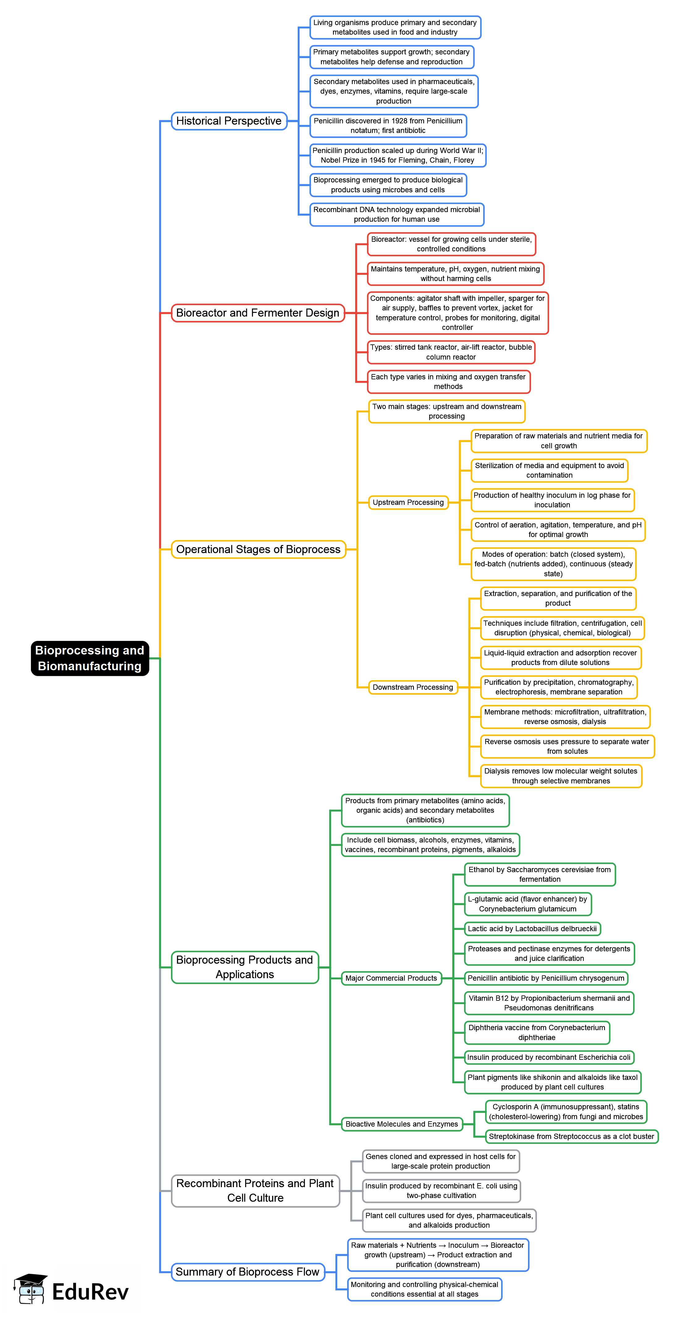 Mind Map: MindMap: Bioprocessing and Biomanufacturing - Biotechnology for Class 12 - NEET PDF ...