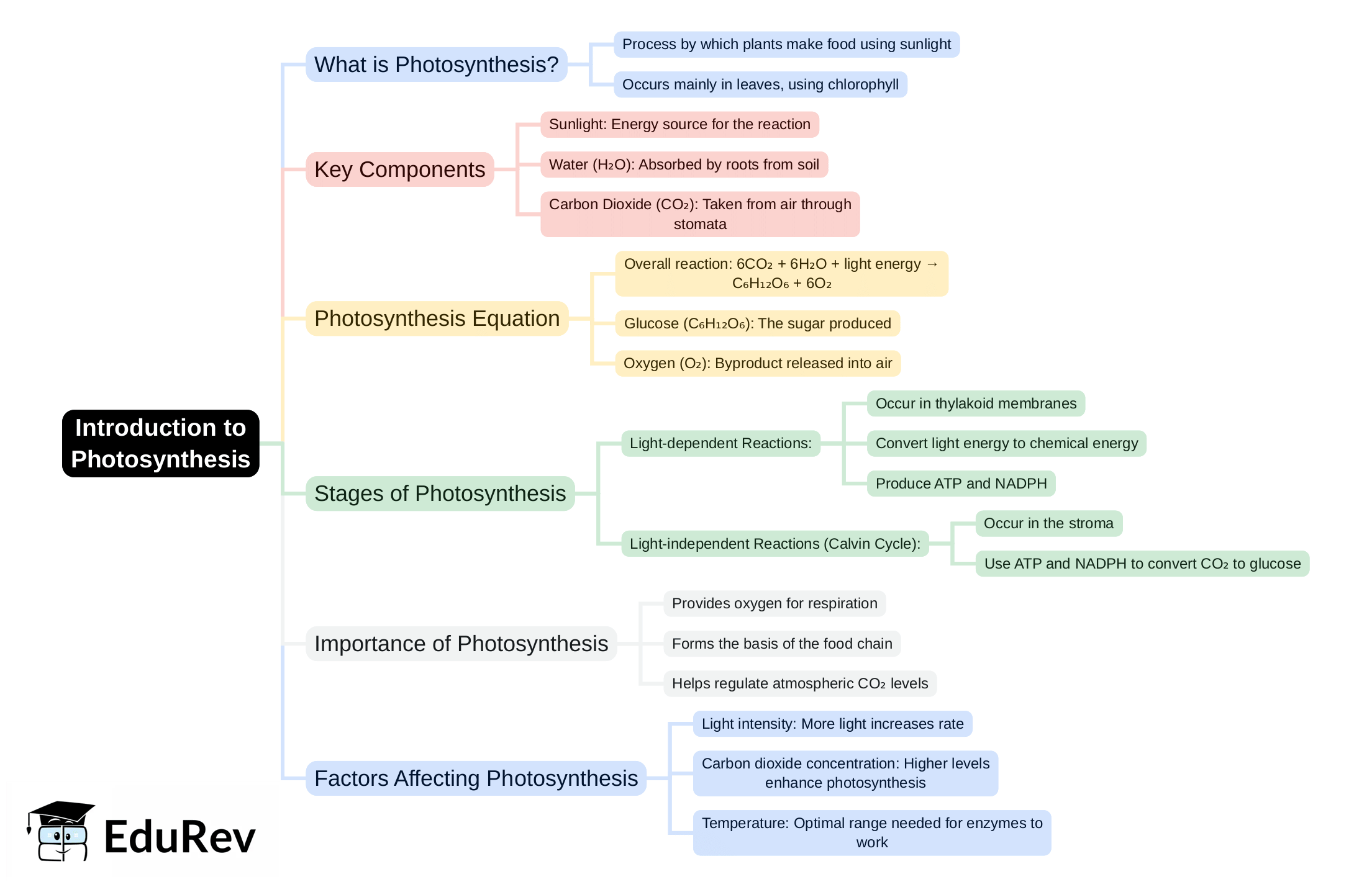 Mind Map: PDF Download