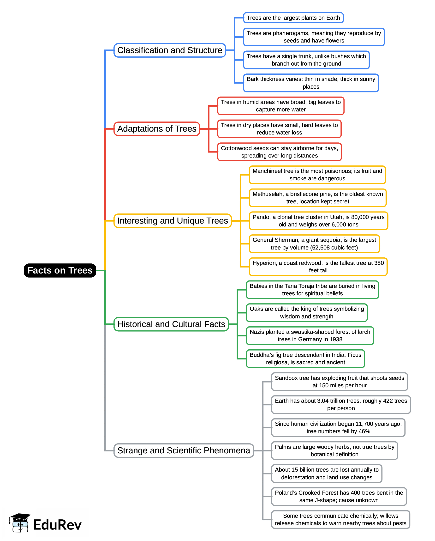 Mind Map: Facts on Trees - Class 1 PDF Download