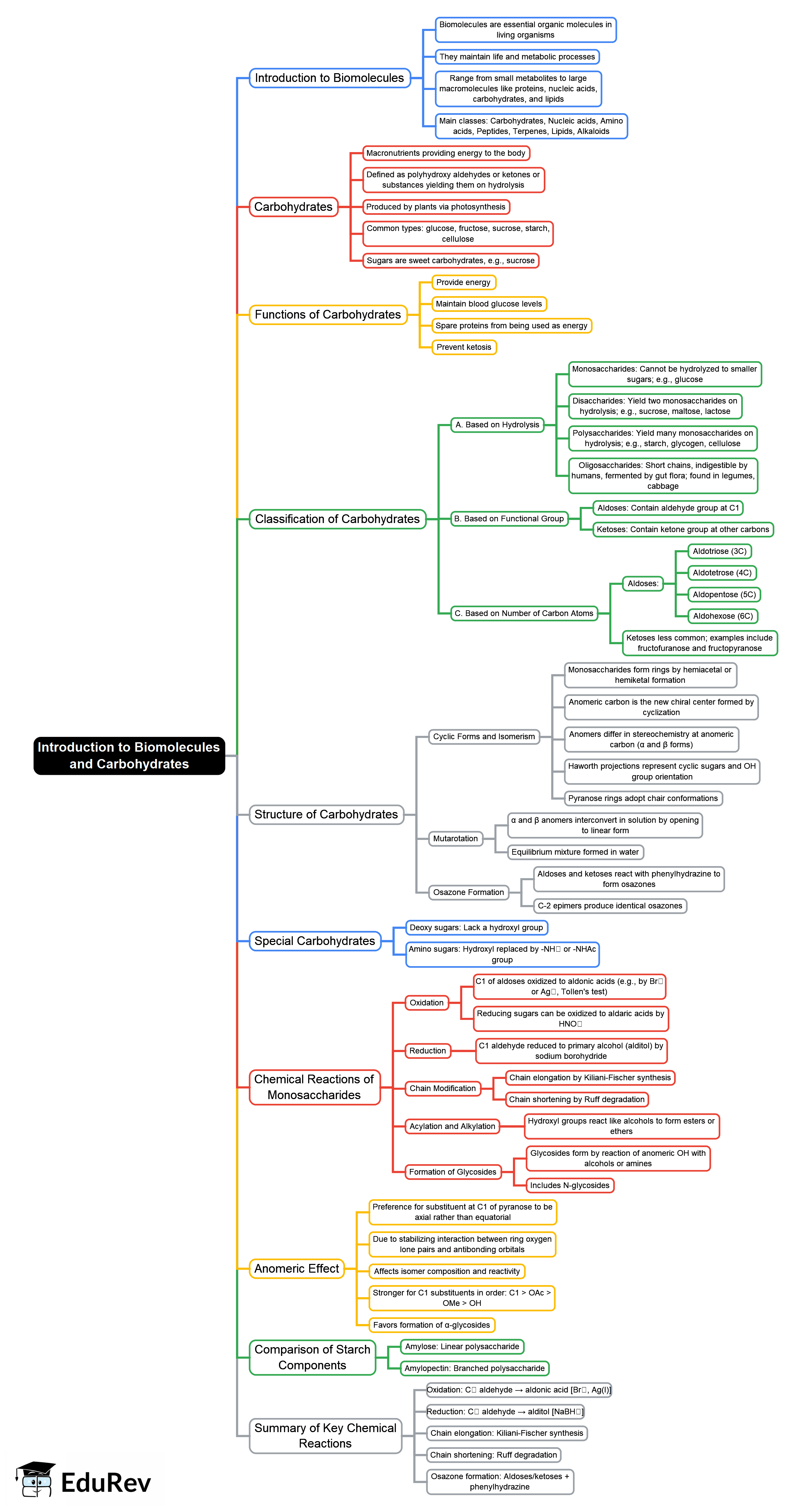 Introduction to Biomolecules and Carbohydrates Mind Map - Grade 9 PDF ...