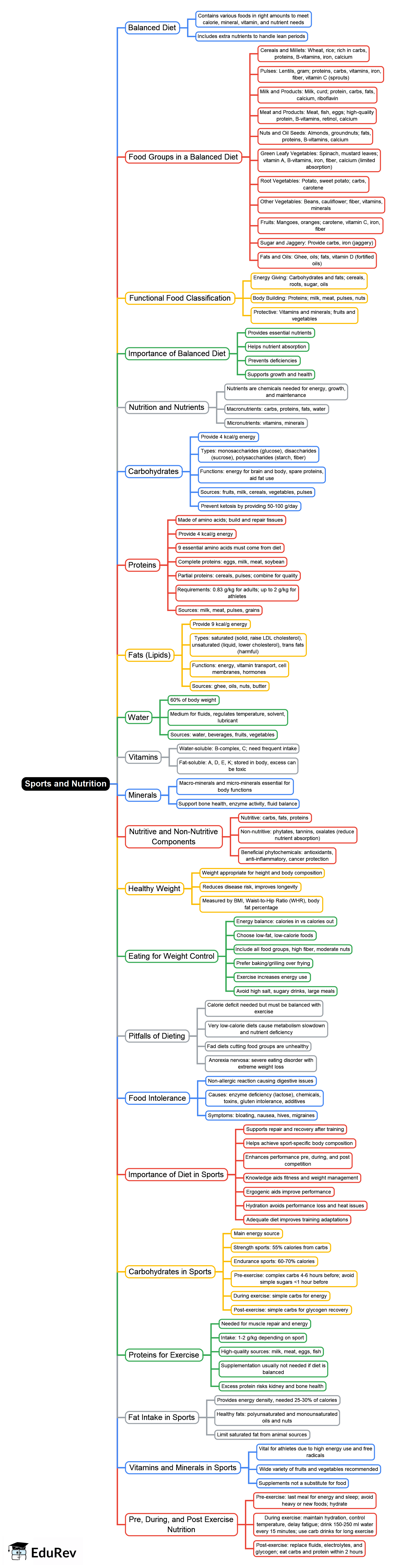 Sports and Nutrition - Physical Education Revision Notes, Class 12 Mind
