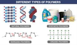 REVISION NOTES FOR POLYMERS.. - Class 12 PDF Download
