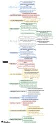 Weaving Mind Map - UGC NET PDF Download