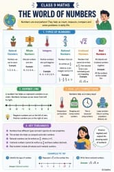 Infographics The World of Numbers - Maths Class 9 - New NCERT 2026-27 (New