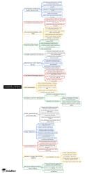 Mind Map: Free Radicals, Xenobiotics and Metabolism of Alcohol ...