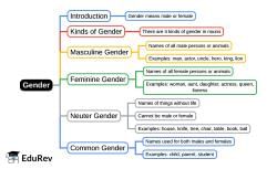 Mind Map: Gender - Class 2 PDF Download