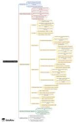 Mind Map: Kidney and Urinary Bladder -1 - Gynaecology and Obstetrics ...