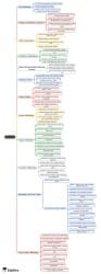 Mind Map: Marketing - Crash Course for UGC NET Management PDF Download