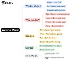 Mind Map: Water O’ Water! - EVS for Class 3 PDF Download