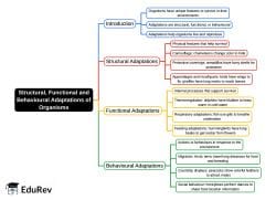 Structural, Functional and Behavioural Adaptations of Organisms Mind Map