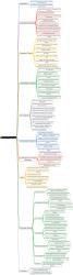 Mind Map: Maternal physiology - Gynaecology and Obstetrics - NEET PG ...