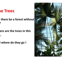 Poem: The Trees Class 10 PPT FREE Download