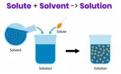 MCQ (Solution) - The Amazing World of Solutes, Solvents, and Solutions