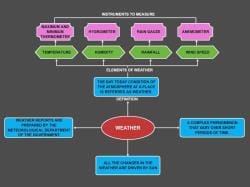 MIND MAP 7.1 - Class 7 PDF Download
