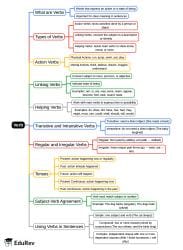 Verb Mind Map - Class 8 English Olympiad PDF Download