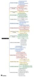 Fractions in Disguise Mind Map - Class 8 Maths PDF Download
