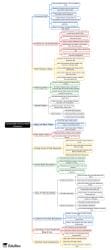 Mind Map: Continental Drift and Plate Tectonics - UGC NET PDF Download