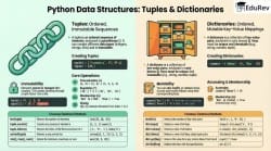 Infographic: Tuples and Dictionaries - Computer Science for Class 11 ...