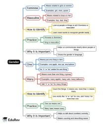 Mind Map: Gender - English Olympiad Class 4 PDF Download