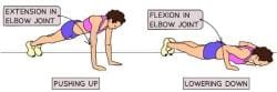 Types of Movement in Sport - Physical Education for Year 6 PDF Download