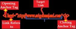 Revision Notes: HTML Advanced - Tables, Lists and Links - Class 10 PDF ...