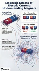 Infographics Magnetic Effects of Electric Current - Science Class 10 PDF