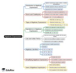 Mind Map: Algebraic Expressions - Class 8 PDF Download