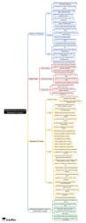 Federalism Rule of Law and Seperation of Powers Mind Map - UGC NET Law