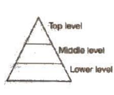 Chapter - 5 - Organising, BST, Class 12 NCERT Solutions - Commerce PDF ...