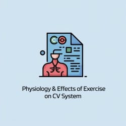 Physiology and Effects of Exercise on Cv System - Physical Education