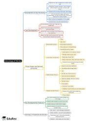 Mind Map: Embryology - Ophthalmology - NEET PG PDF Download