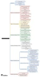 International Business Mind Map - UGC NET Commerce Preparation Course PDF