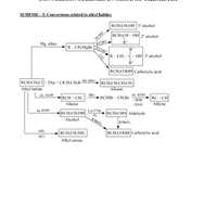 Class 12 - Chemistry - Organic Conversion Schemes PDF Download