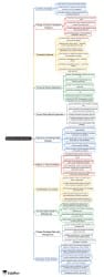 Mind Map - CFA Level 2 Financial Statement Analysis PDF Download