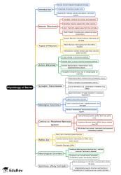 Mind Map: Physiology of Nerve - Physiology - NEET PG PDF Download
