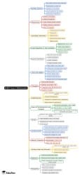 NCERT Class 9 Mind Map - CAT PDF Download