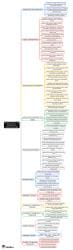 Revision Notes - An Entrepreneur, Entrepreneurship, Class 11 Mind Map
