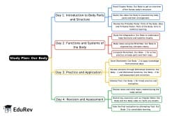 4-Days Study Plan Our Body - EVS for Class 1 PDF Download