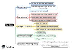 Mind Map: My Body - Class 1 PDF Download