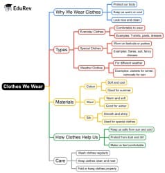 Mind Map: Clothes We Wear - EVS for Class 1 PDF Download