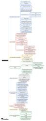 Mind Map: Forensic Identity - Forensic Medicine and Toxicology (FMT ...