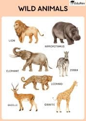 Printable Poster Wild Animals - Class 1 PDF Download