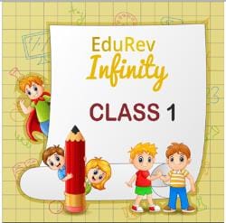 What do you get under EduRev Infinity Package for Class 1? - Parent's ...