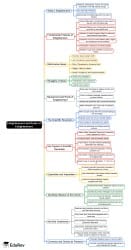 Mind Map: Enlightenment and Roots of Enlightenment - UPSC PDF Download