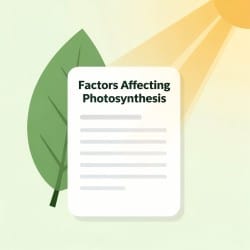 Factors Affecting Photosynthesis Video Lecture - Biology Class 11 - NEET