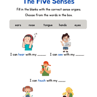 The Five Senses (with Solutions) Worksheet - Class 1 English (Mridang)
