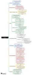 Mind Map: The Instruments of Trade Policy - Business Economics for CA ...