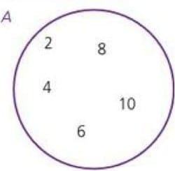 Set notation and Venn diagrams Chapter Notes - Class 10