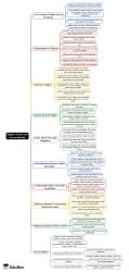 Rights; Duties and Accountability Mind Map - UPSC PDF Download