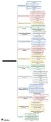 Mind Map: Changing Marriage Practices - Crash Course for UGC NET ...